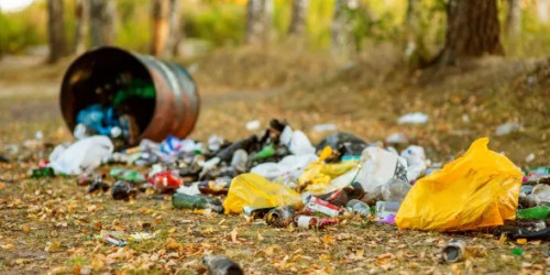 The Impact of High-Rise Littering - WCCTV